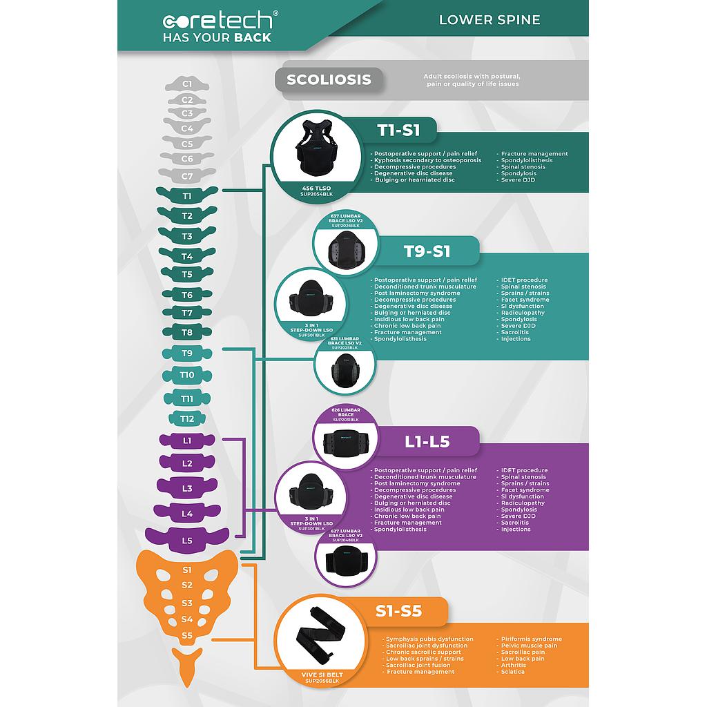 Spine Chart Poster Coretech - advancedlifeservices.net